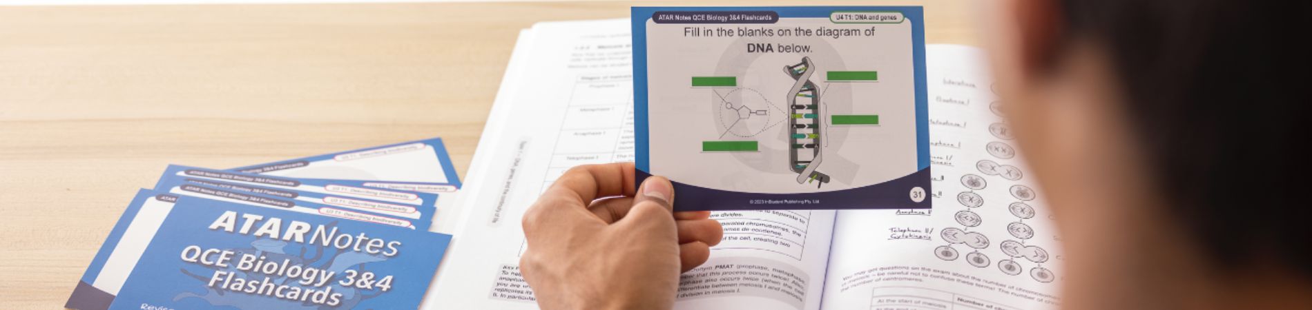 How to Use ATAR Notes Study Guides to Improve Marks | ATAR Notes